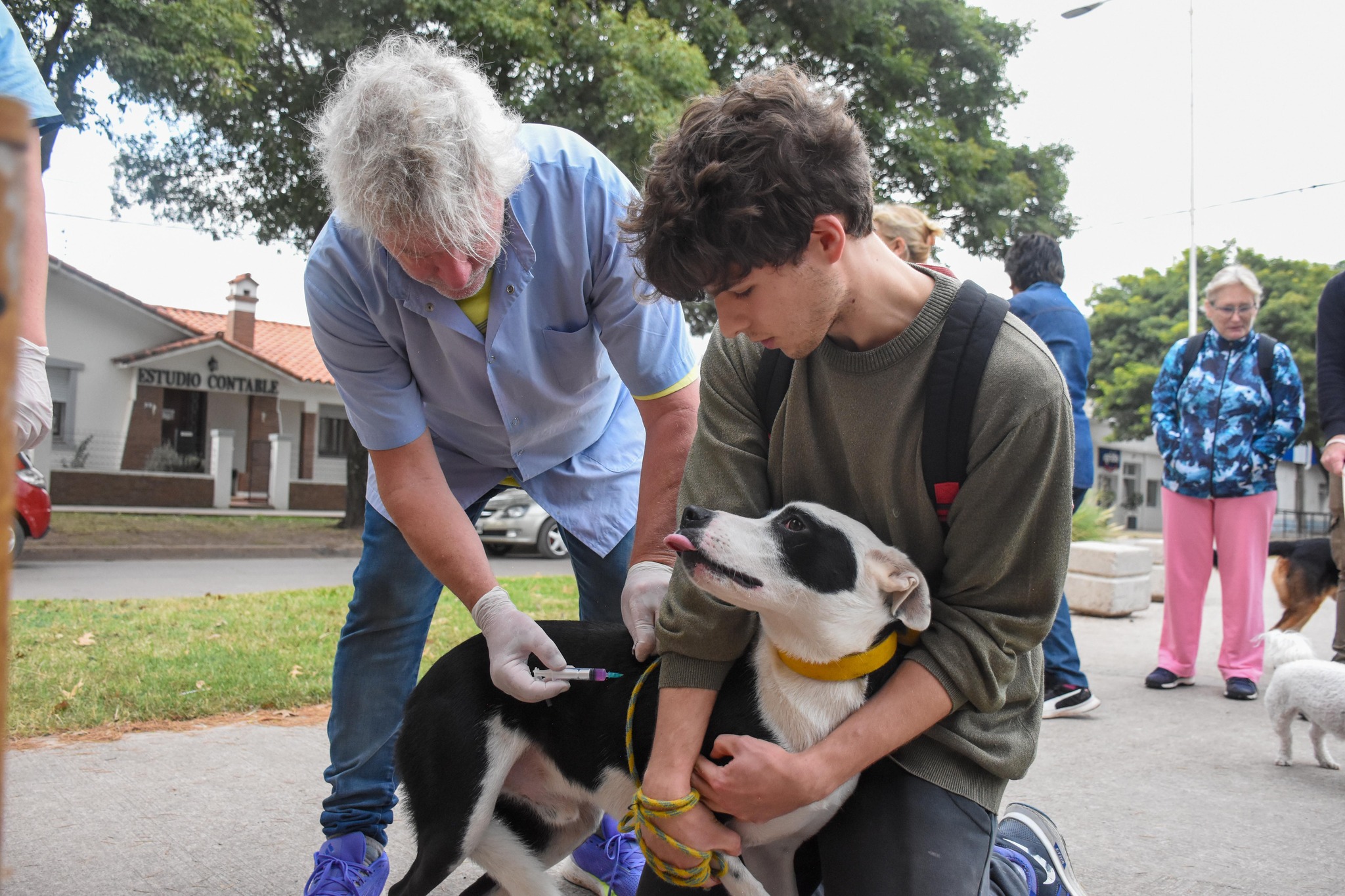 Siguen cuidando la salud de las mascotas en Ramírez - Resumen Regional